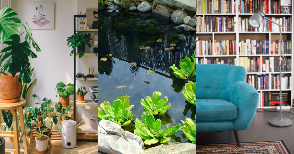 Five Ways to Make Your Home a More Joyful Place - Leightons Estate Agency